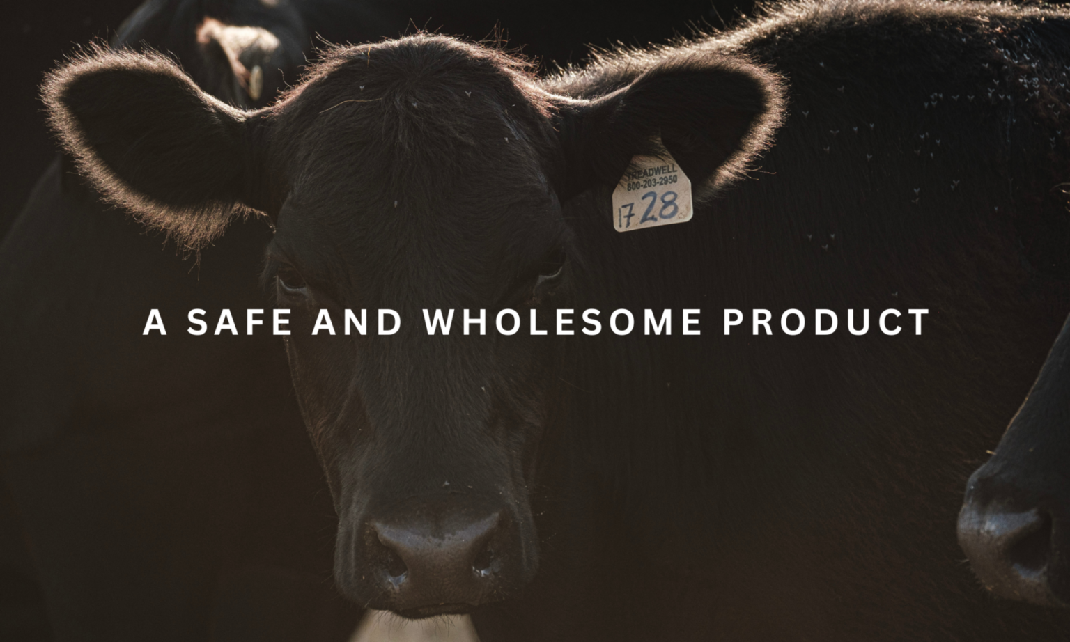 Texas Beef Quality Assurance